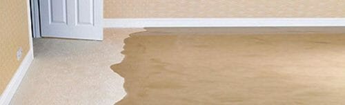 How to Get Wet Smell Out of Carpet: 6 Effective Ways