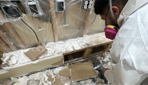 Mold in the Workplace? 7 Critical Things to Do | ServiceMaster