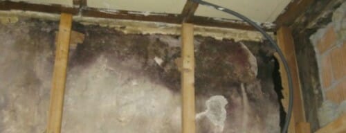 How to Deal with Mold In Walls: The Definitive Guide | ServiceMaster