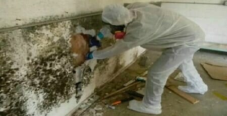 Mold in Basement: Your Actionable Guide to Recovery