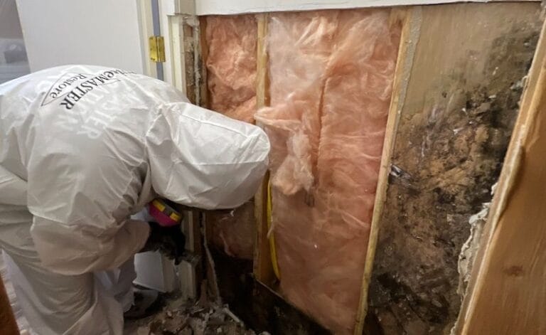 Mold in a New Construction: How Dream Houses Become Nightmares