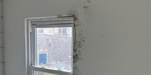 Mold on Window Sills: How to Get Rid of It In 10 Easy Steps Right Now