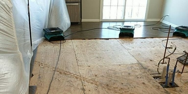 8 Effective Steps for Repairing a Water-Damaged Subfloor