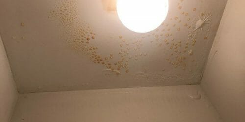 Water is Leaking Through My Light Fixture! What Should I Do?
