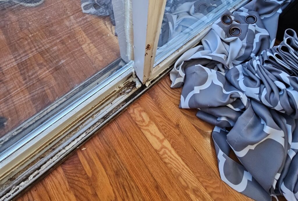 5 Effective Steps to Get Rid of Mold in a Dorm Room | ServiceMaster