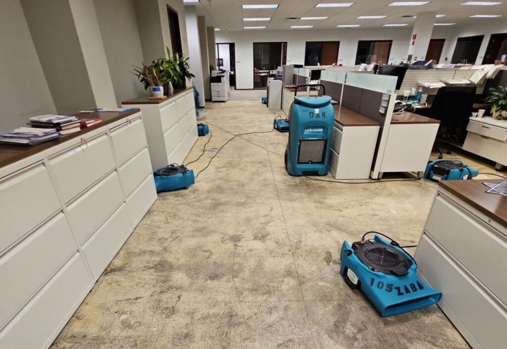 A Complete Library Cleaning Checklist with Daily, Weekly & Monthly ...