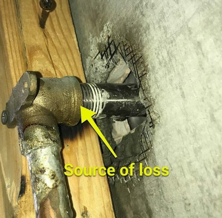 Stagnant Water: Why It’s Dangerous and How to Get Rid of it