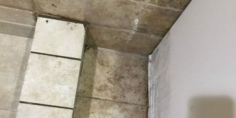 How to Fix Water Damage Behind Shower Tiles Like a Pro | ServiceMaster
