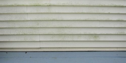 Water Leaking Behind Siding? 6 Steps to Take Right Now