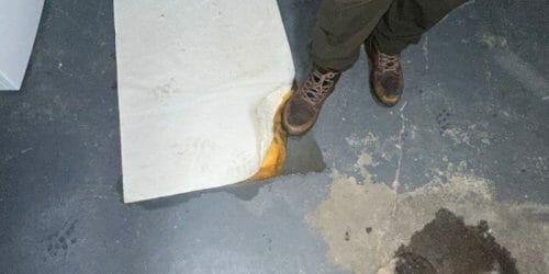 What to Do When Your House Floods: 9 Critical Steps to Take