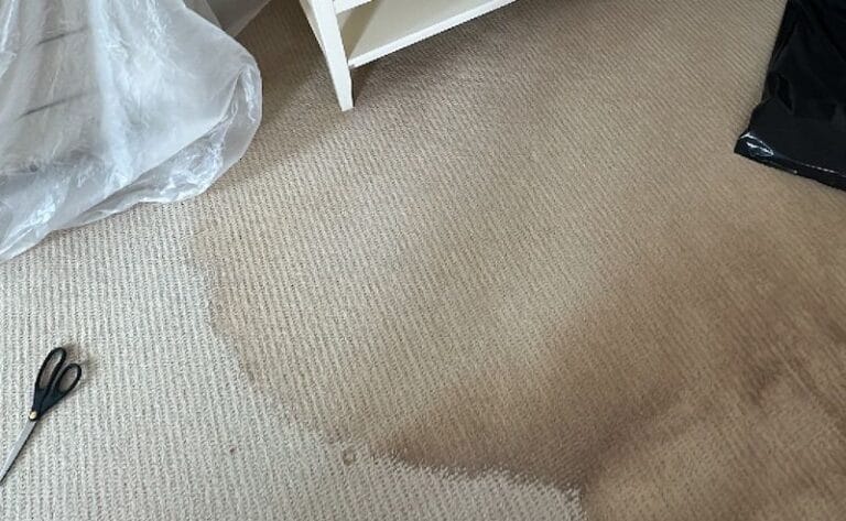 Help! My Apartment Flooded – What Do I Do?