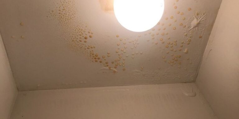 Water Bubbles in the Wall? Here’s How to Fix the Damage