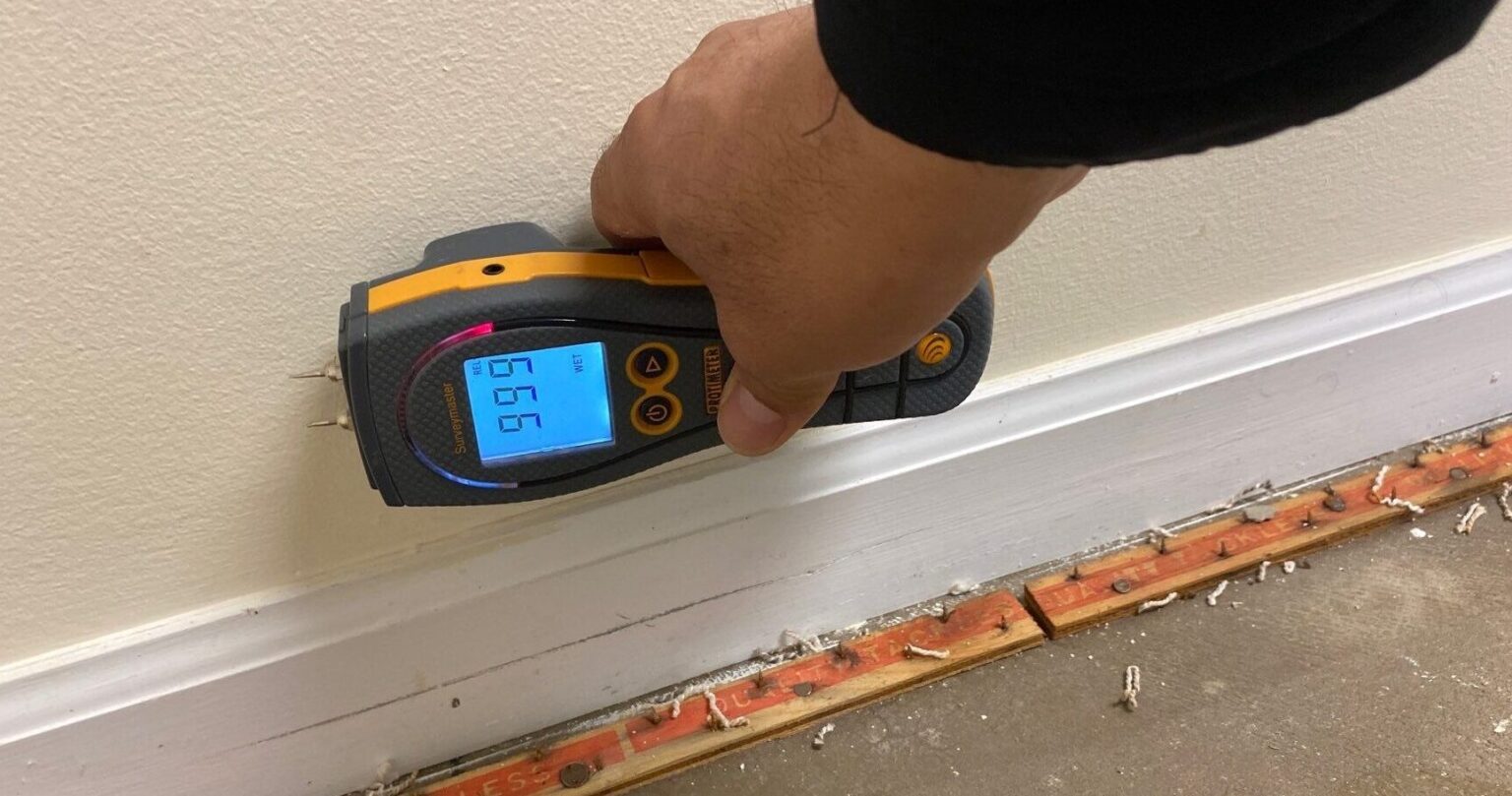 Is That Water Damage New or Old? Here’s How You Can Tell